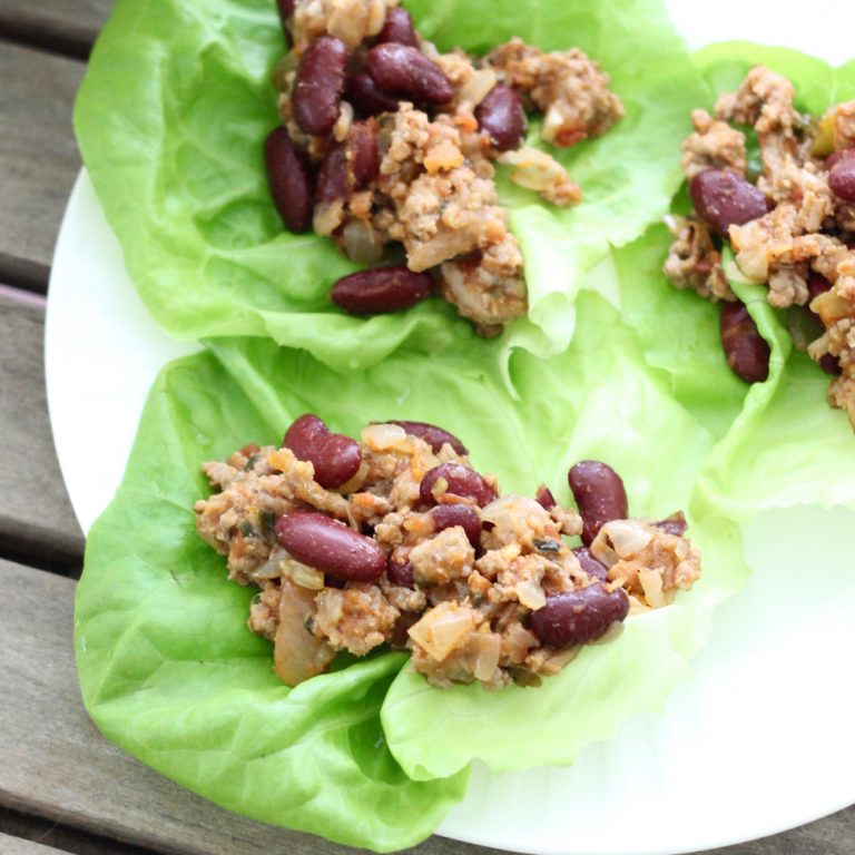 Salsa Turkey Lettuce Wraps