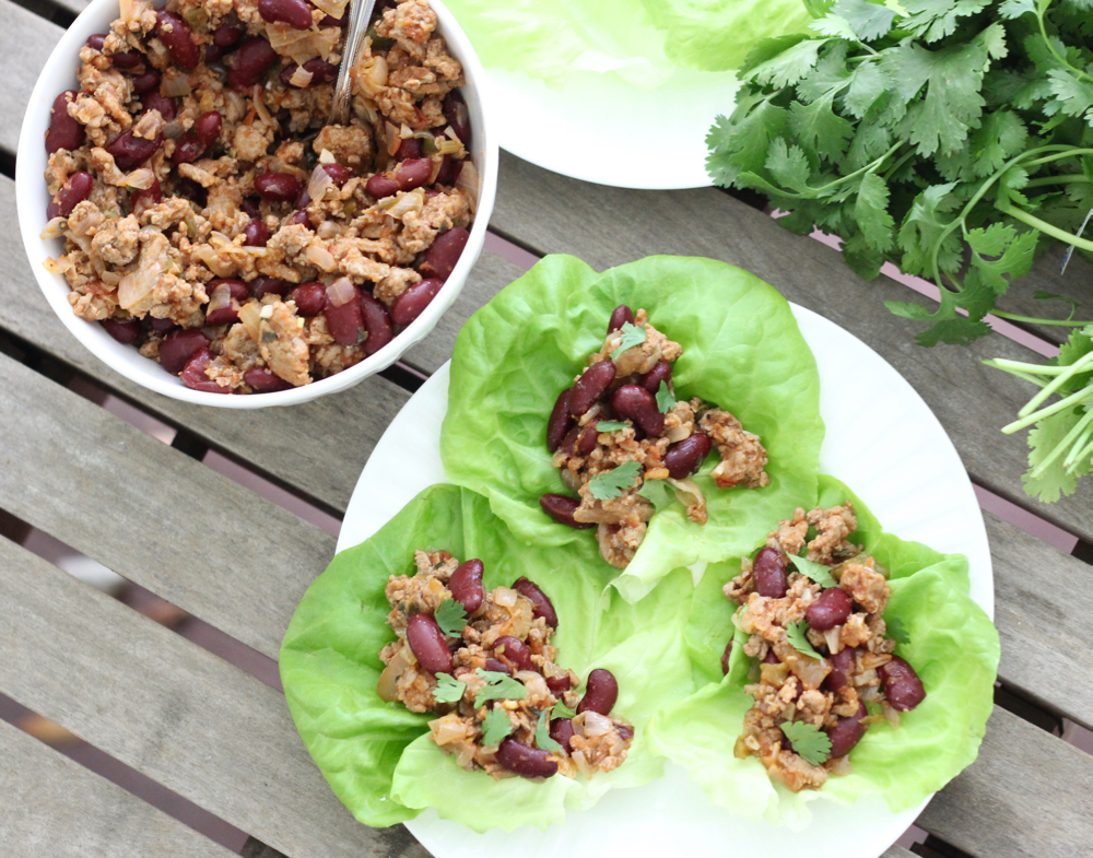 Salsa Turkey Lettuce Wraps